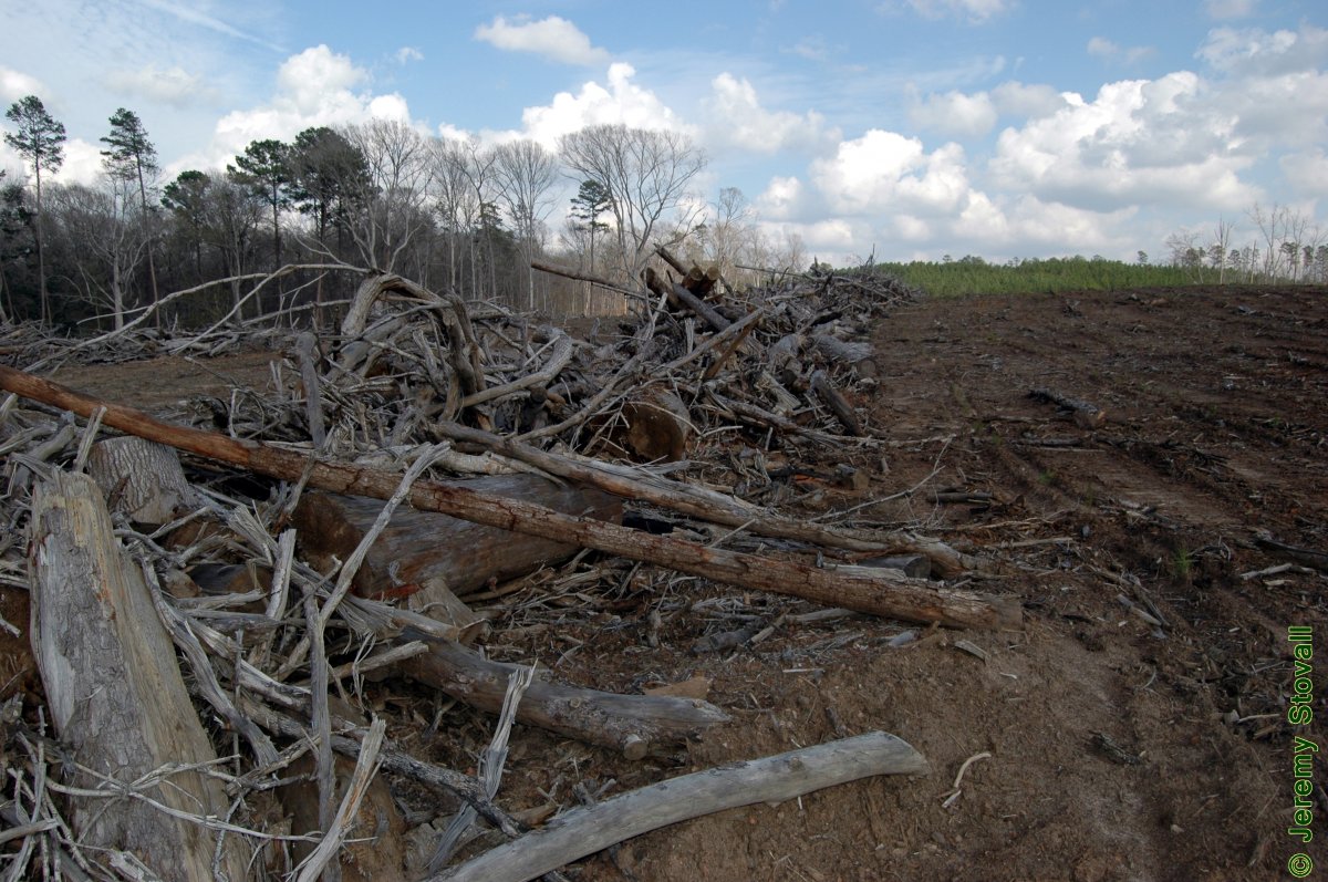 SFA Silviculture - 1.3. Introduction: Art & Science of Silviculture